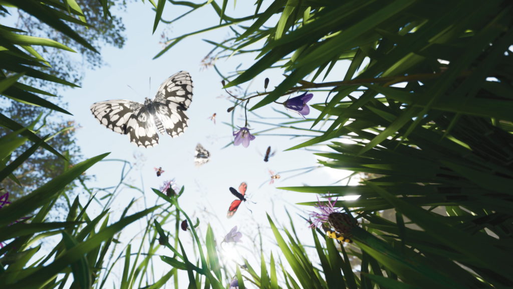 BUTTERFLY | Birdly VR