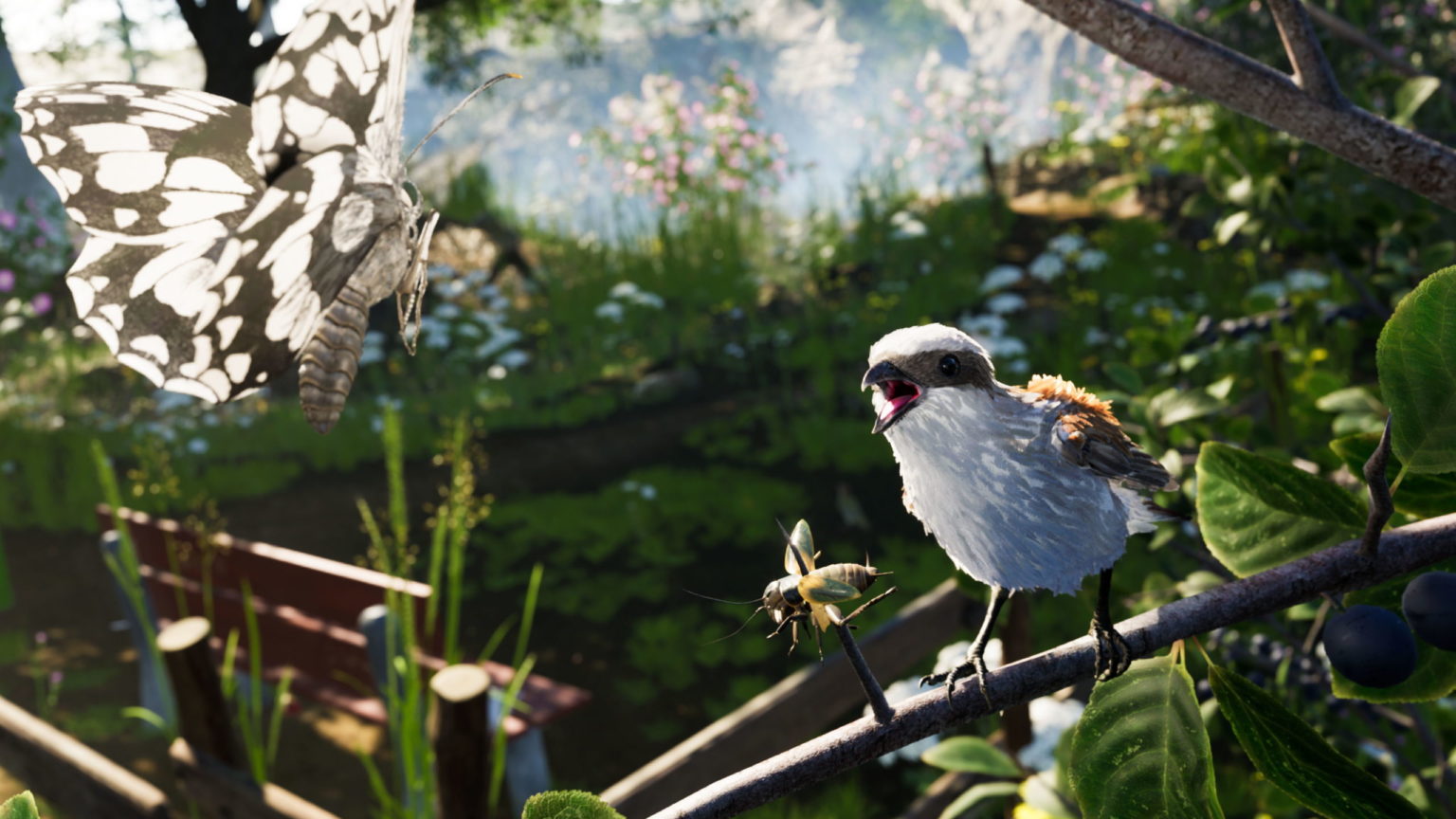 BUTTERFLY | Birdly VR